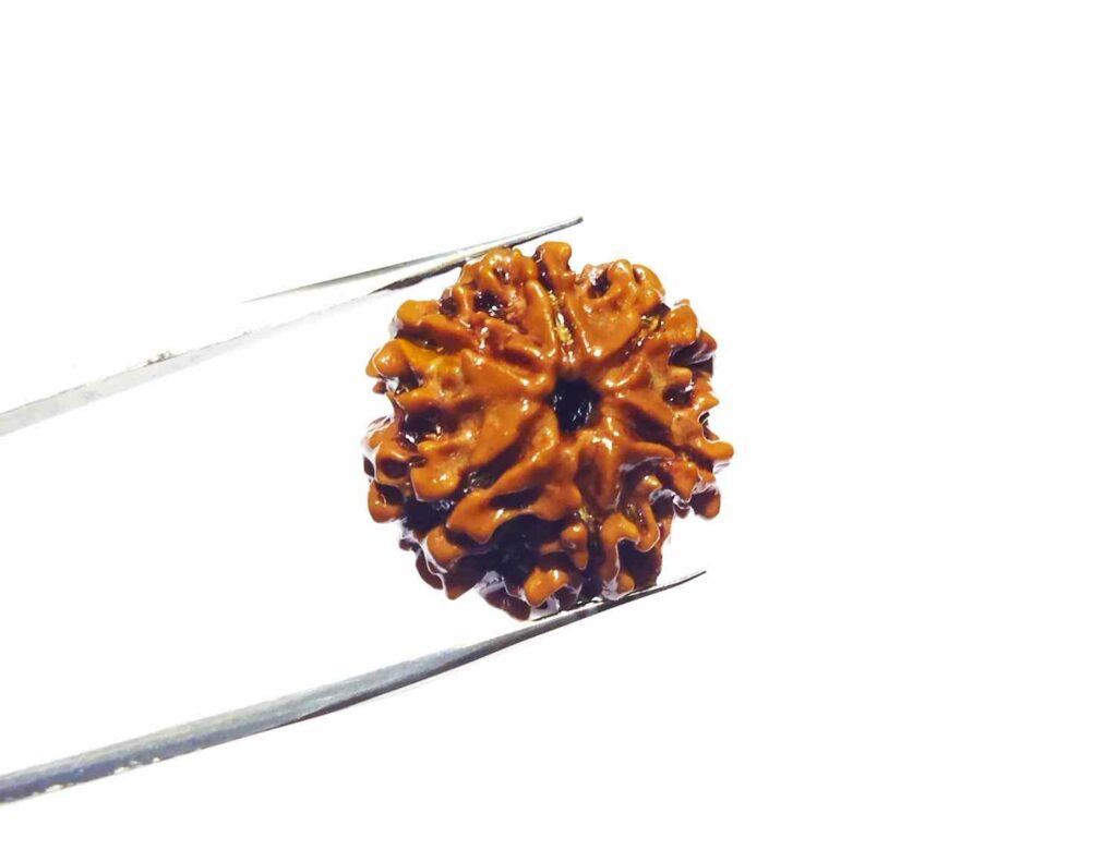 Siddh Parad Shivling (Rasalingam) & Original 57 Gram – Shivaago