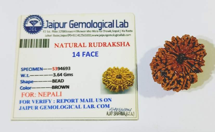 Energized Sphatik (Crystal) Nandi – For Prosperity & Happiness- 75 to ...