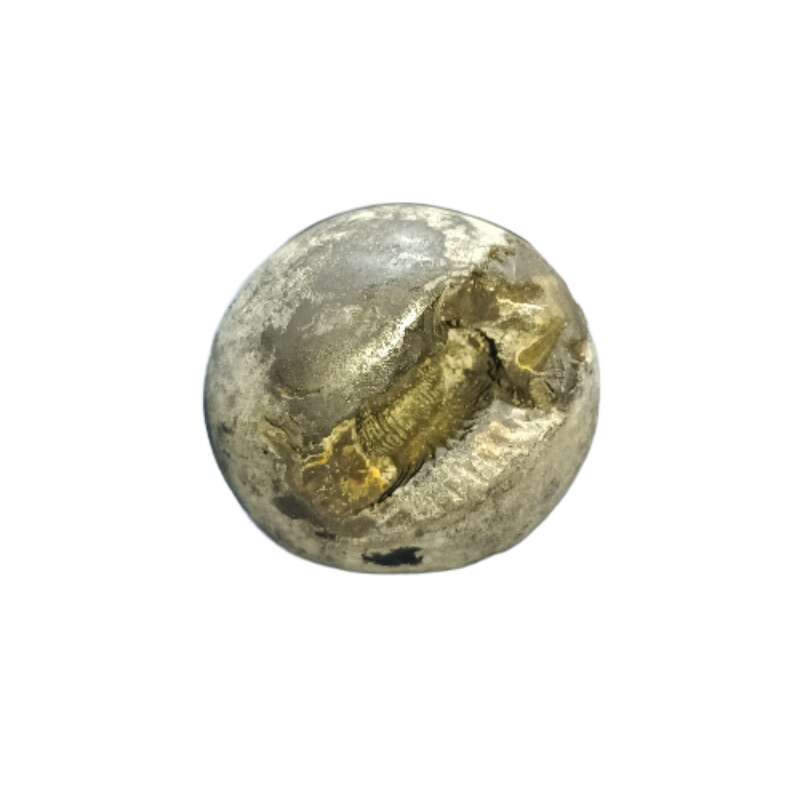 Indian Sphatik Kachua & Lab- Certified 70 to 75 Gram – Shivaago