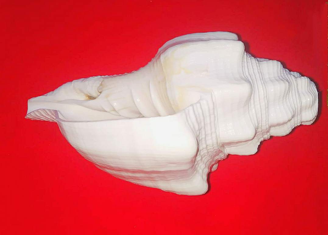 Original Vishnu Vahan Garuda Blowing Shankh ( Conch ) 15 cm size – Shivaago