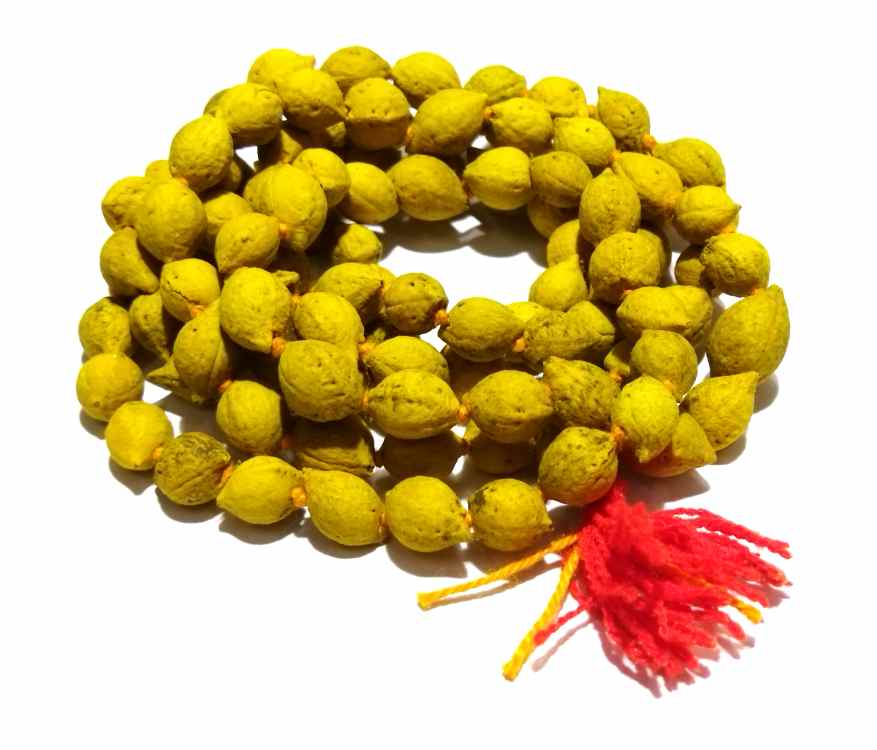 Certified Putrajeevak Mala Natural- Putra Prapti Mala (108+1) Beads ...