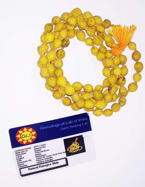 Certified Putrajeevak Mala Natural- Putra prapti mala Original ...