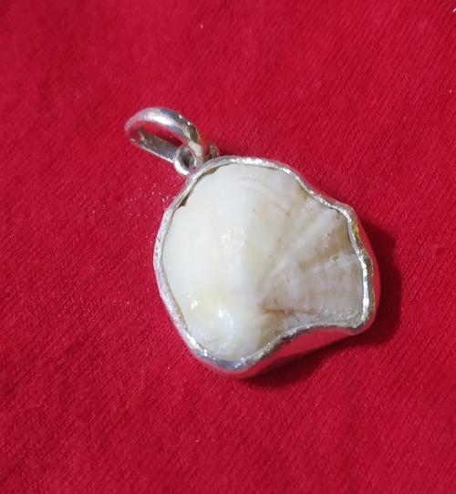 Abhimantrit Natural Mach Mani & Lab- Certified- 20 Carat (In Silver ...