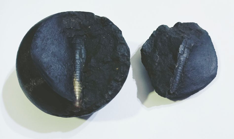 Shivlingam Golden Shaligram Natural 100% Genuine – 216 Gram – Shivaago