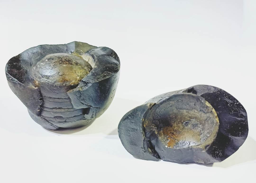 Shiv Shaligram Very Rare & Natural 338 Gram 100% Genuine – Shivaago