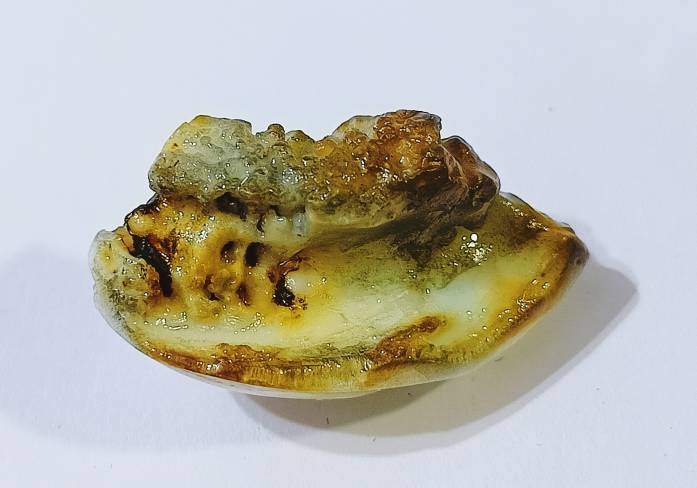 Natural Chandra Mani (Mukta Mani) 30 Carat – Shivaago