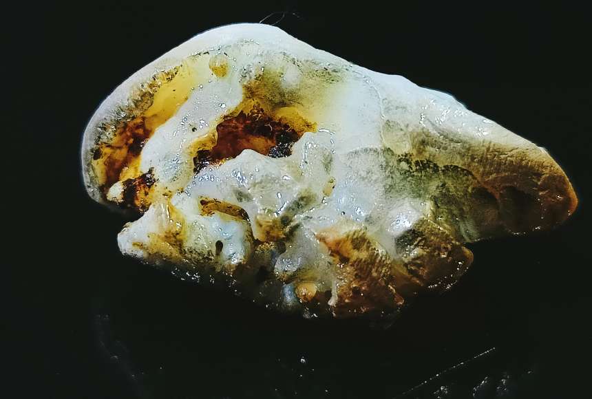 Natural Chandra Mani (Mukta Mani) 30 Carat – Shivaago