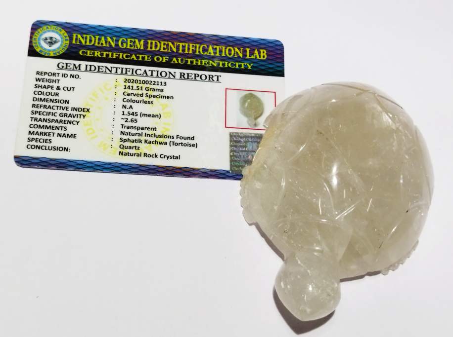 Indian Sphatik Kachua & Lab- Certified 141 Gram – Shivaago