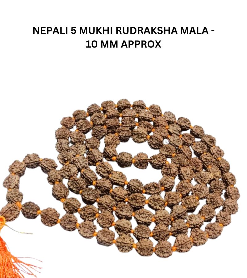 Very Rare Nepali 5 Mukhi Rudraksha Mala Original, Certified 10mm With ...