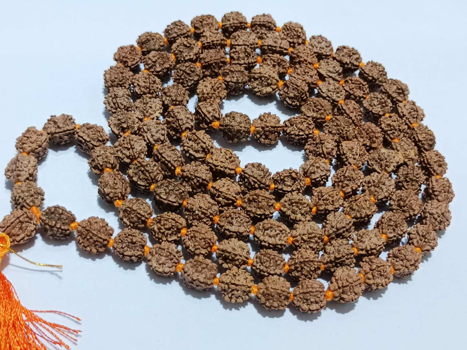 Very Rare Nepali 5 Mukhi Rudraksha Mala Original, Certified 10mm With ...