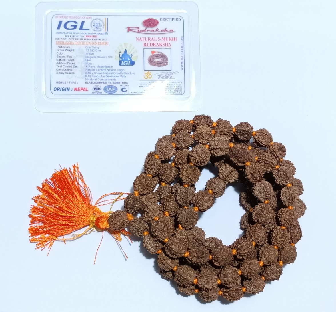 Very Rare Nepali 5 Mukhi Rudraksha Mala Original, Certified 10mm With ...