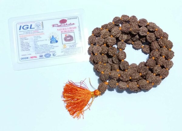 Very Rare Nepali 5 Mukhi Rudraksha Mala Original, Certified 10mm With ...