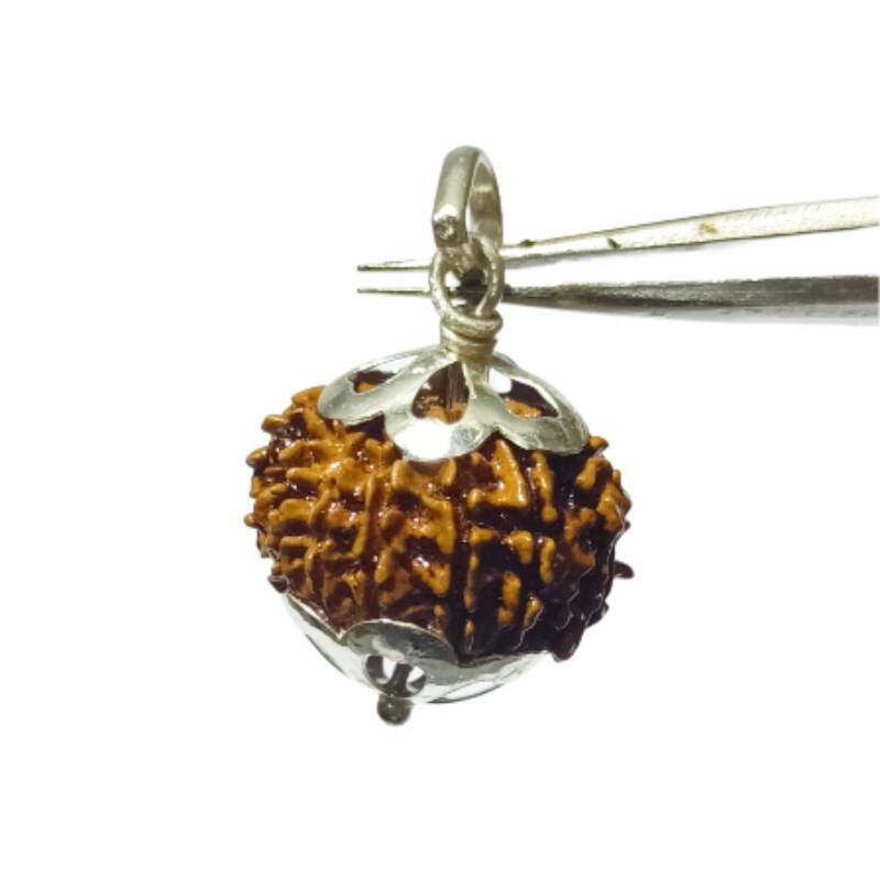 Abhimantrit, Natural 11 Mukhi Nepali Rudraksha Bead In Silver Locket ...