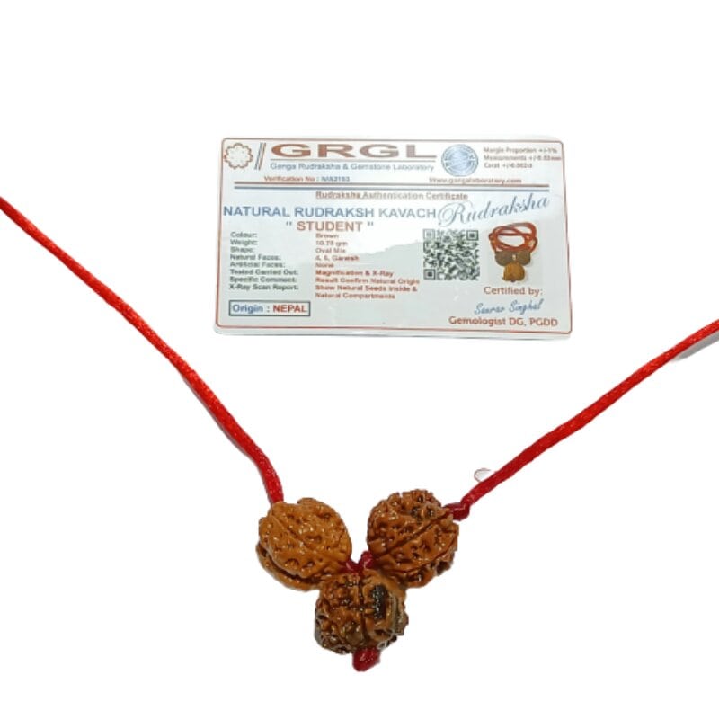 Student Kavach Rudraksha – Combination of 4 Mukhi-Ganesh mukhi-6 Mukhi ...