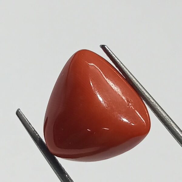 Mantrit (Energized) Triangle Red Coral/ Moonga Stone-15.50 Carat – Shivaago