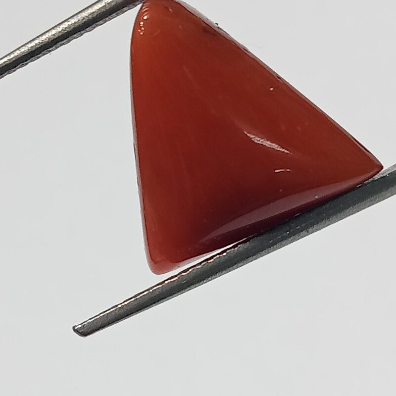 Mantrit (Energized) Triangle Red Coral/ Moonga Stone-16.70 Carat – Shivaago