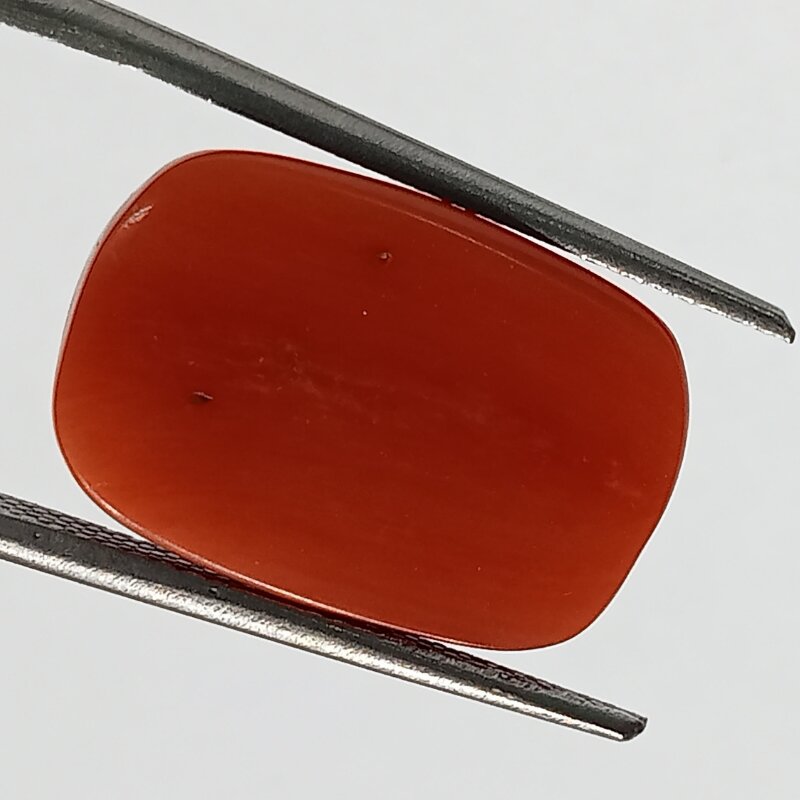 Mantrit (Energized) Authentic Original Red Coral Stone With Lab ...