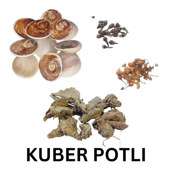 Kuber Potli – Gomti Chakra Big Size {Set of 11}, 3 Pieces Dry Kaali ...